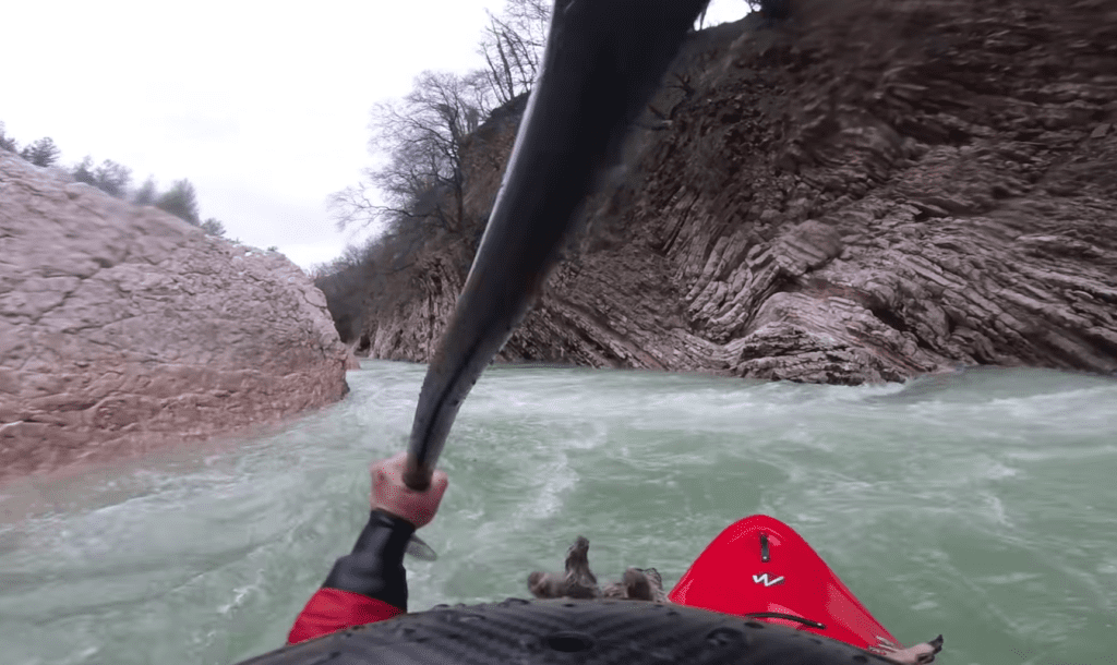 Kayaker spots drowning deer and jumps into action