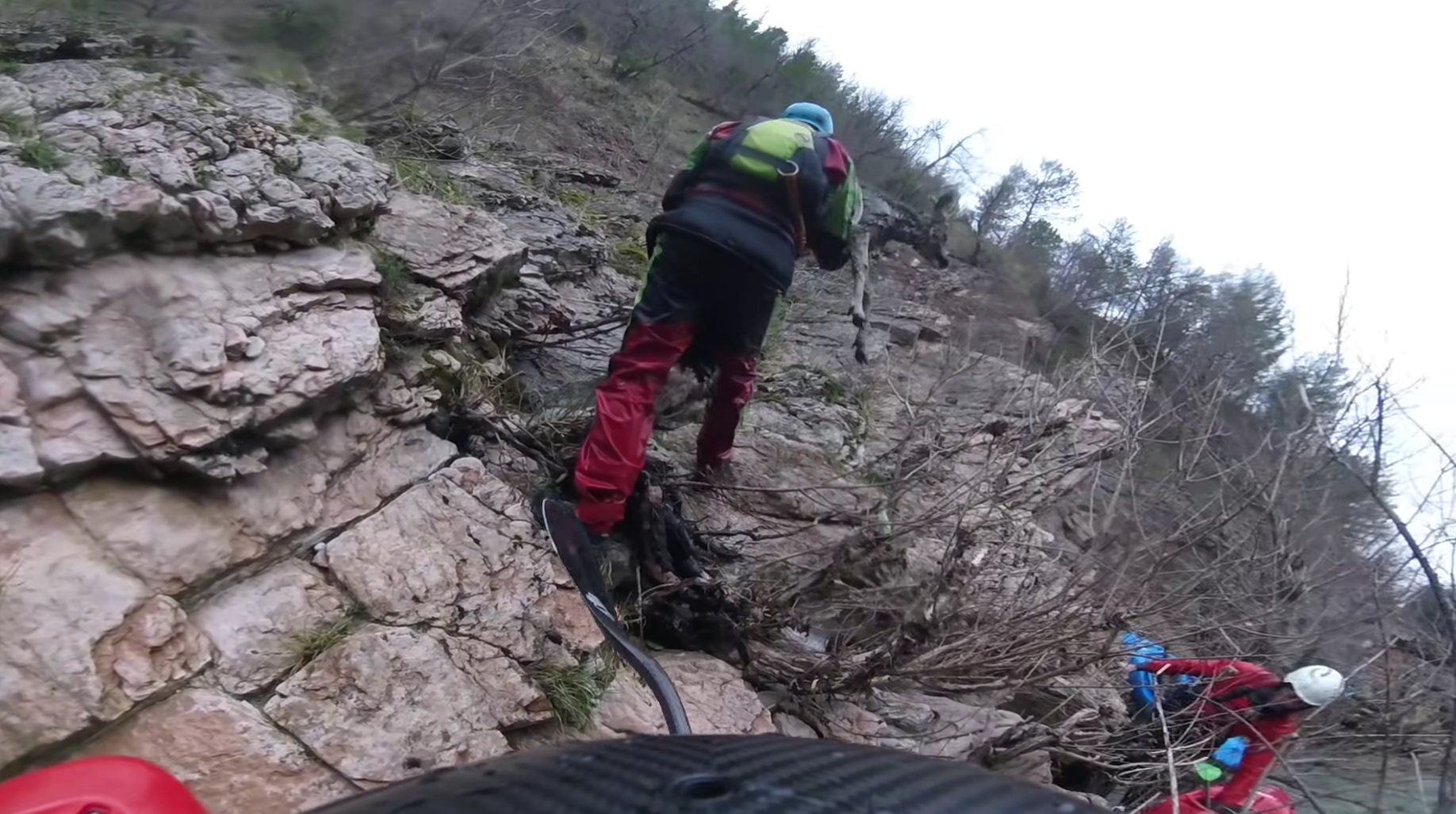 Kayaker spots drowning deer and jumps into action