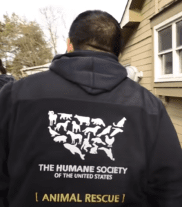 Missing Lab Returned To Family After Five years