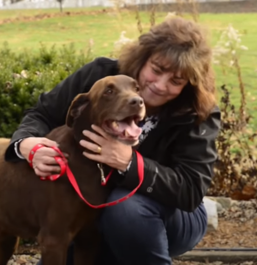 Missing Lab Returned To Family After Five years