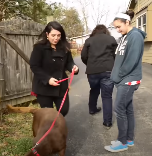 Missing Lab Returned To Family After Five years