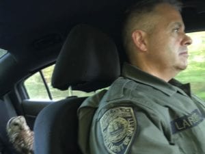 Rescued owl takes a ride in a police car