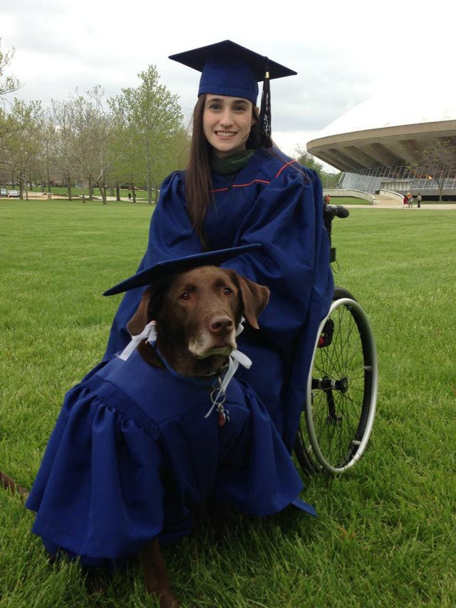 35+ stories that prove how much dogs care about their humans