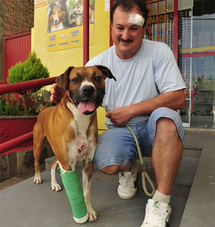 35+ stories that prove how much dogs care about their humans