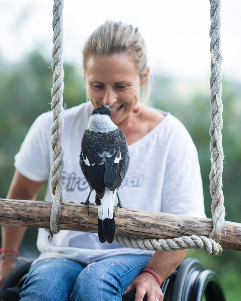 Family save a baby magpie that turns out to be family’s saving grace