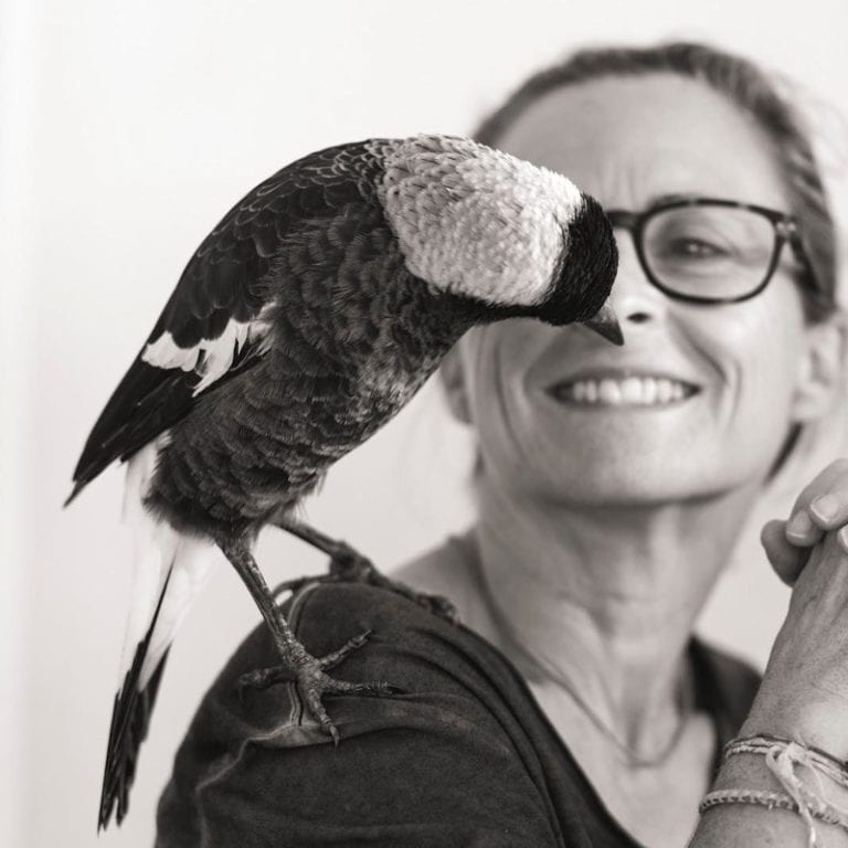 Family save a baby magpie that turns out to be family’s saving grace