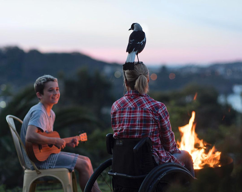 Family save a baby magpie that turns out to be family’s saving grace