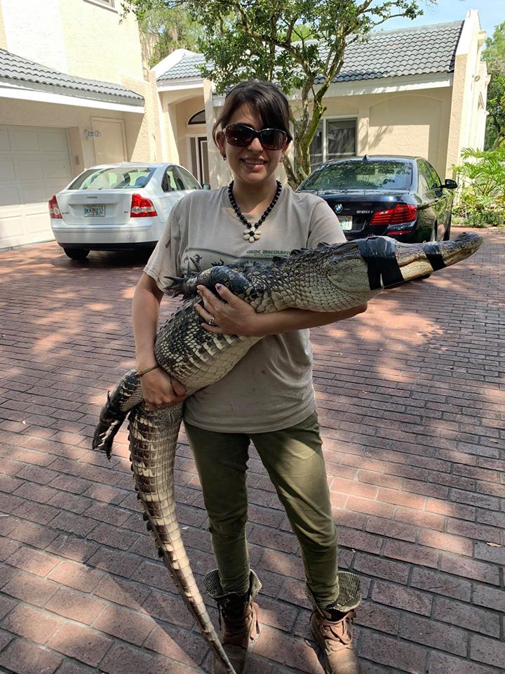 Family opens front door and finds 8-foot alligator waiting for them