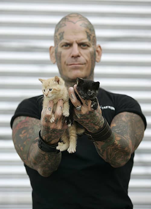 Tattooed biker gang brings down dogfighting rings and saves helpless dogs