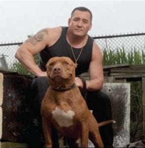 Tattooed biker gang brings down dogfighting rings and saves helpless dogs