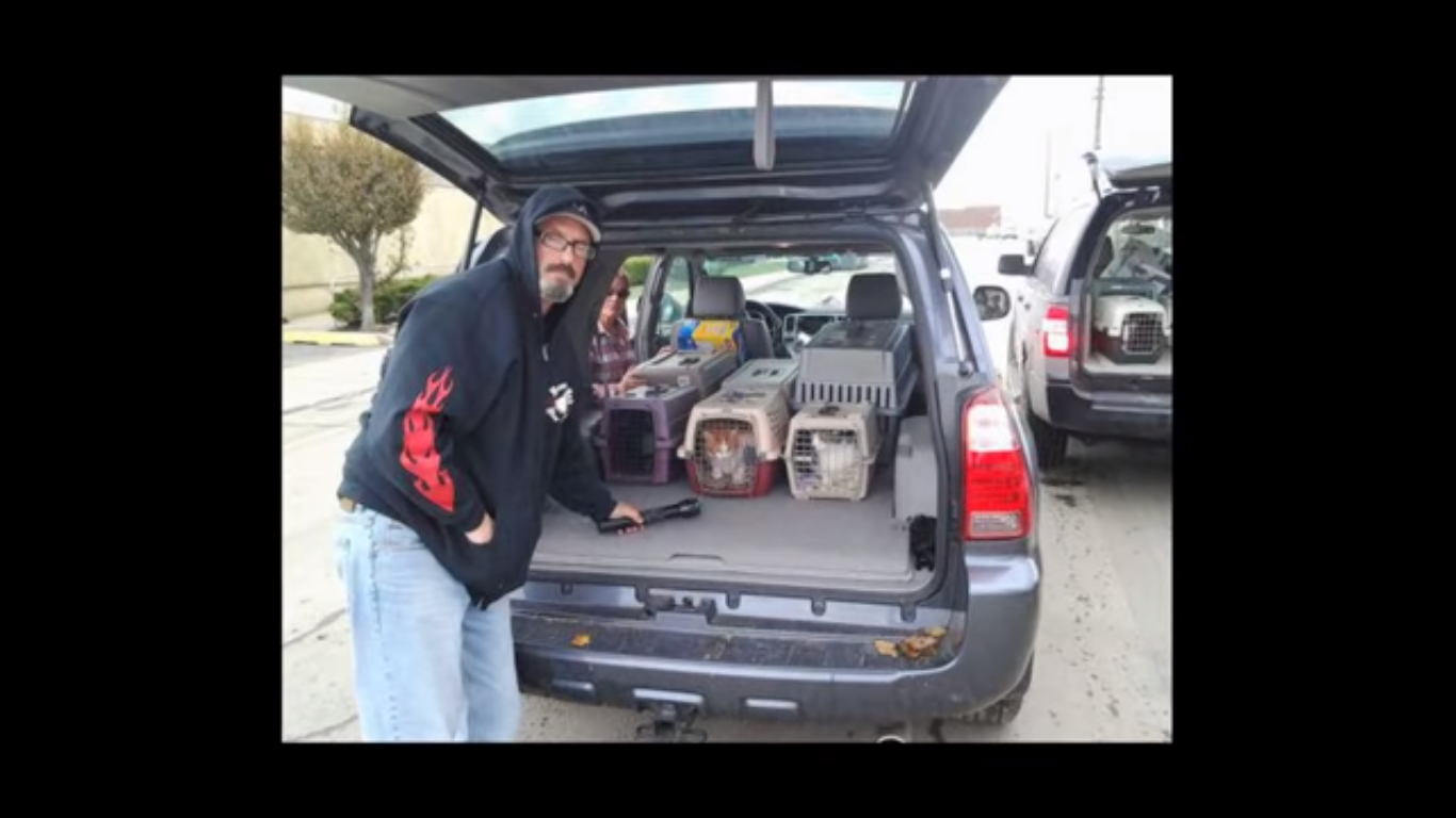 Tattooed biker gang brings down dogfighting rings and saves helpless dogs