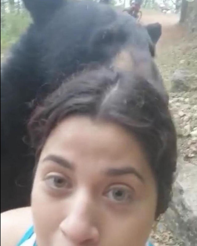Bear casually walks up to women on a hike and their reaction is to take ...