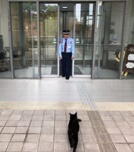 Cat unsuccessful at sneaking past Japanese security guard for years ...