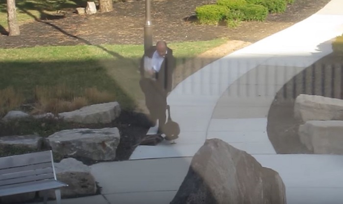 Canadian man faces off against wild goose on his way to work
