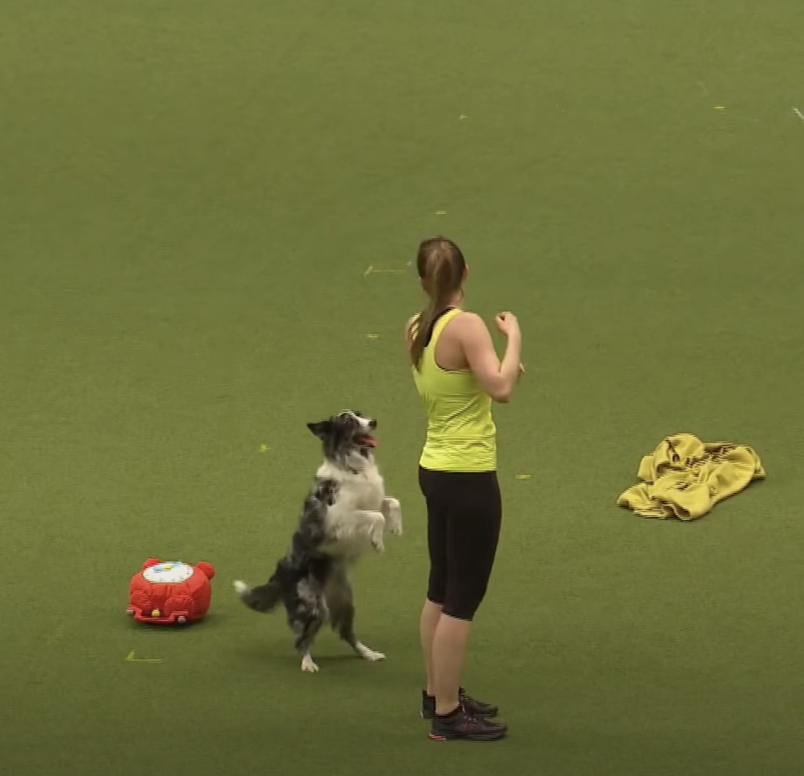 Dog And His Trainer Show Off Brilliant Dance Routine