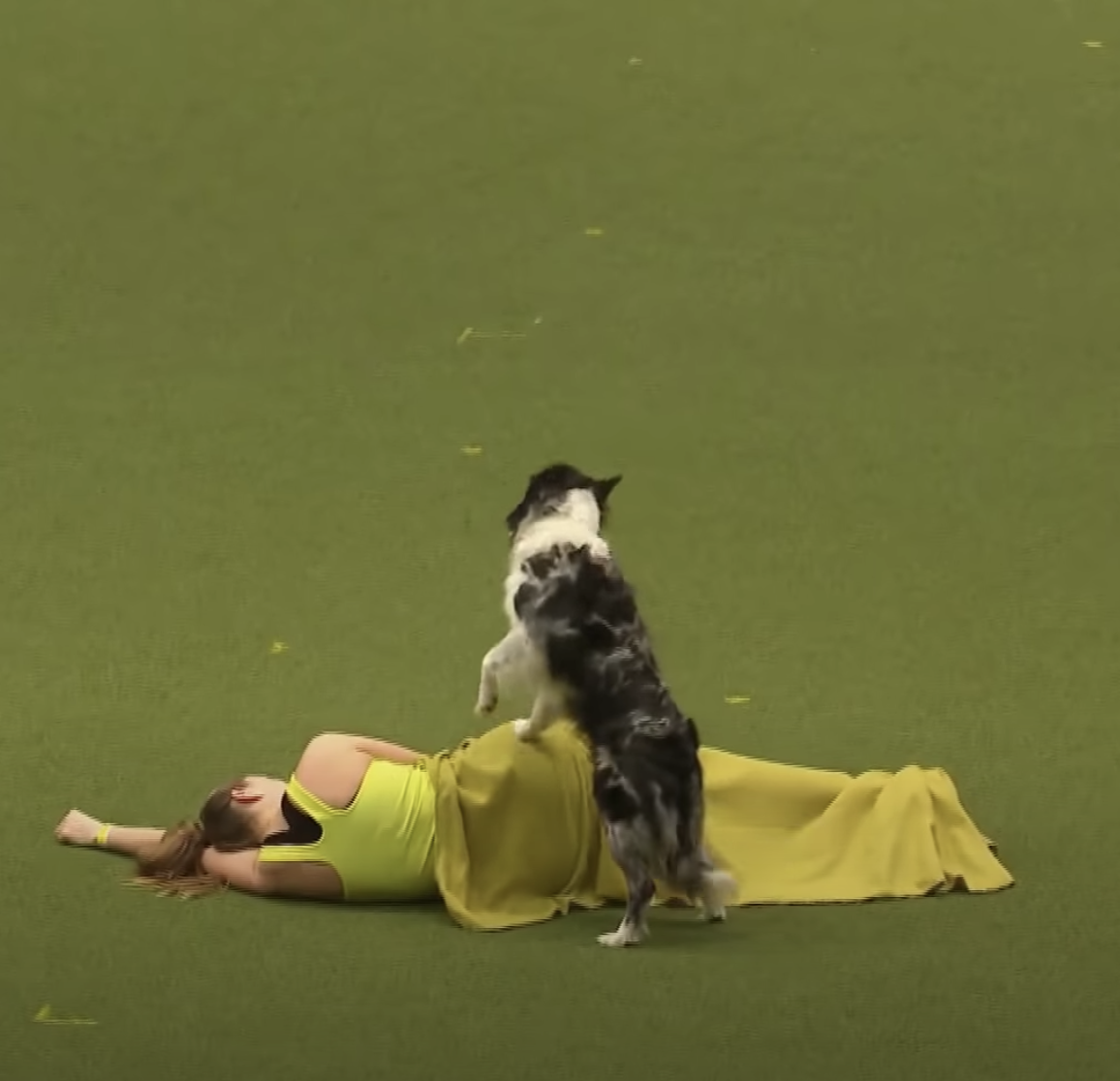 Dog And His Trainer Show Off Brilliant Dance Routine
