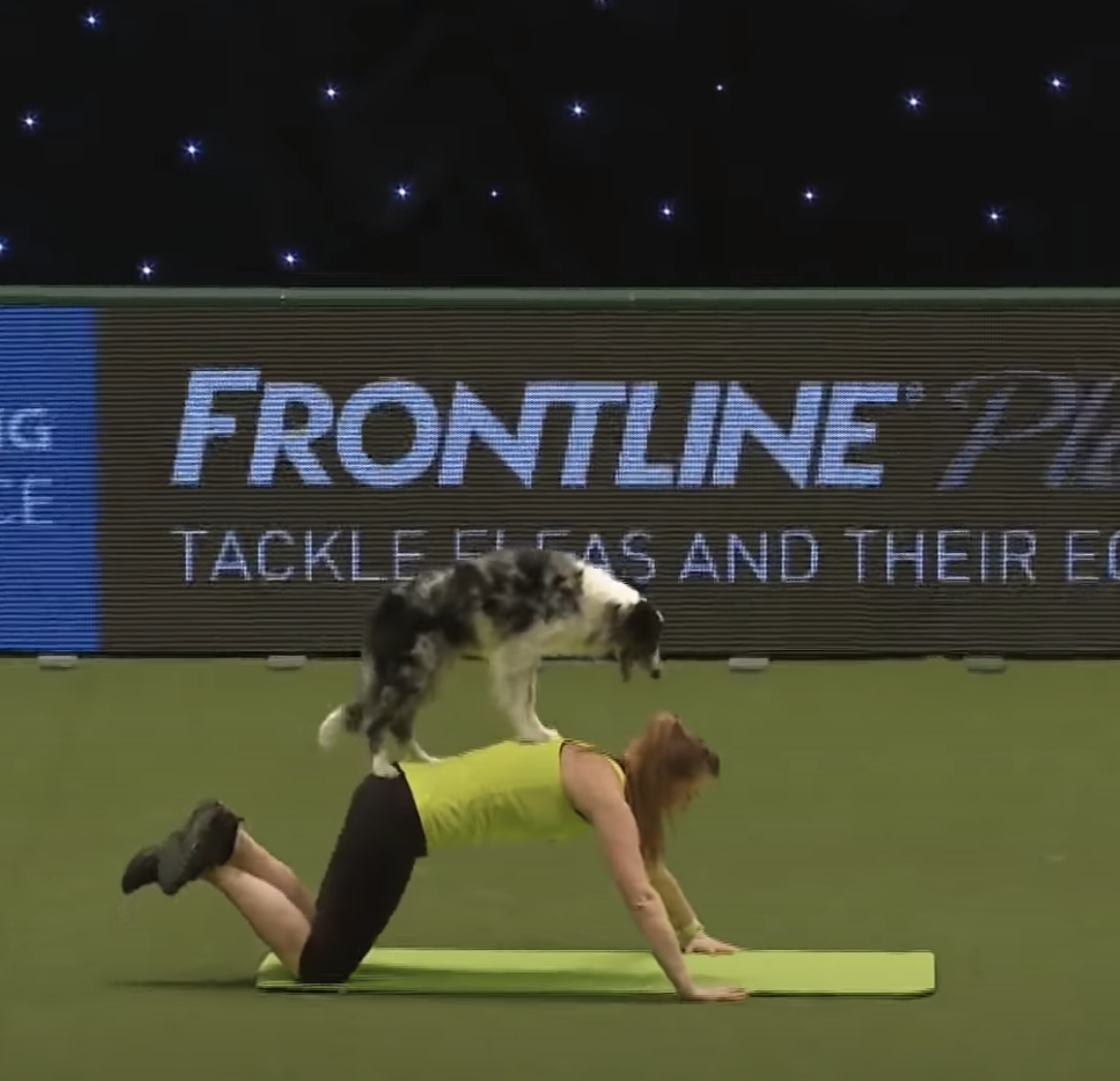 Dog And His Trainer Show Off Brilliant Dance Routine