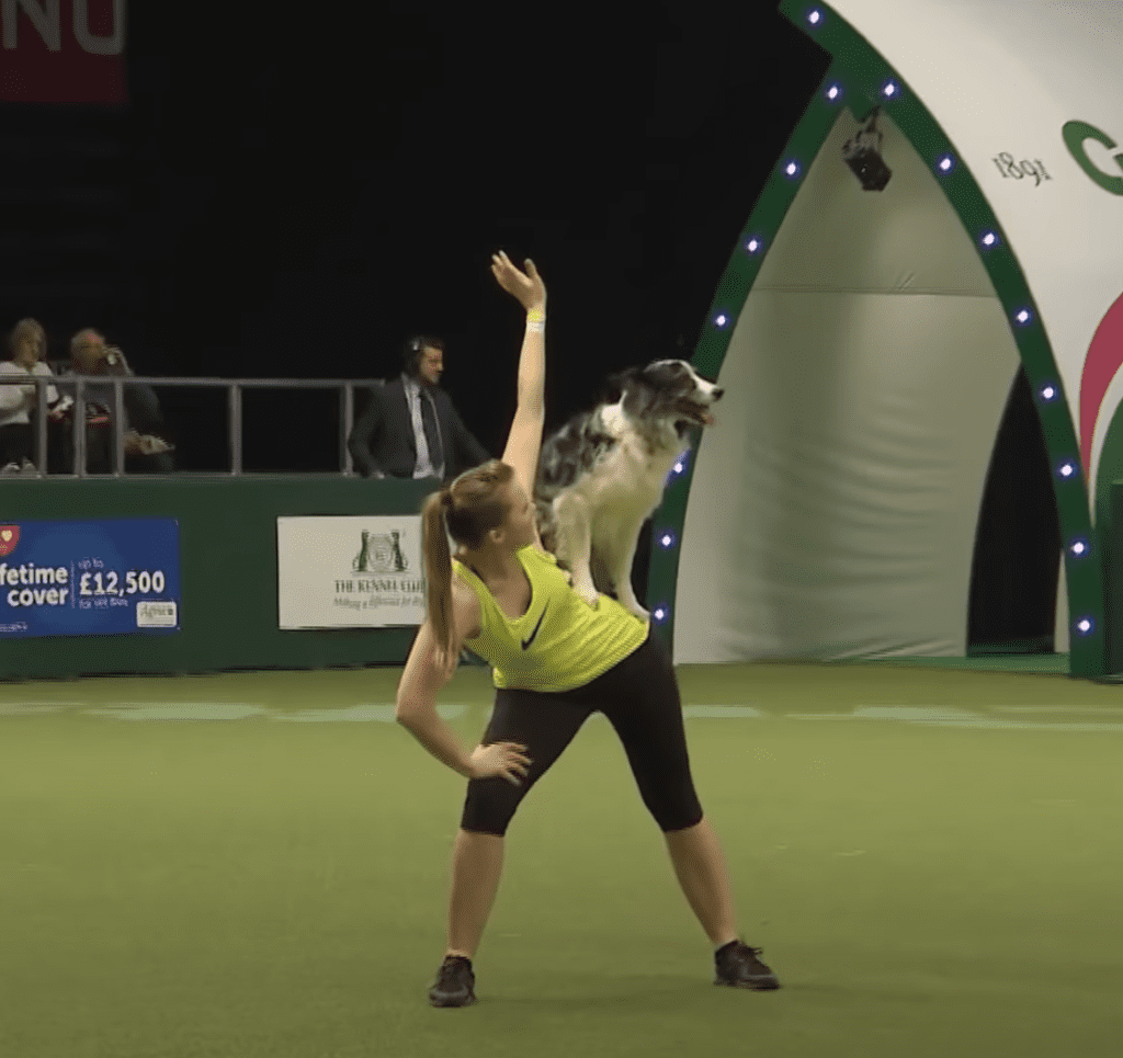 Dog And His Trainer Show Off Brilliant Dance Routine