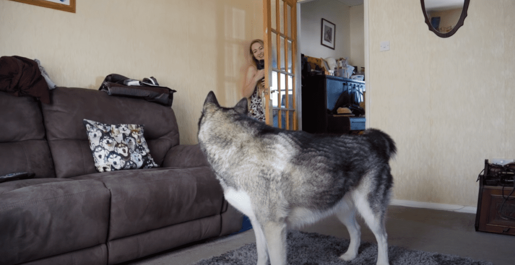 Woman plays hilarious game of hide-and-seek with her clever dog