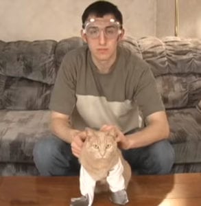 Yodeling stray cat outside of woman’s window yells to get attention