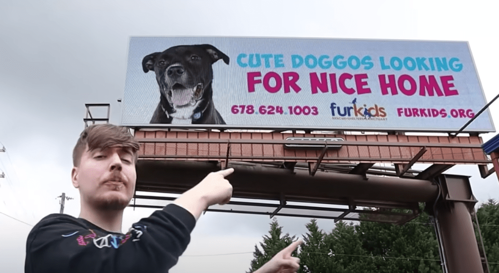 YouTube star finds home for every dog in a shelter