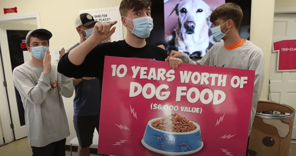 YouTube star finds home for every dog in a shelter