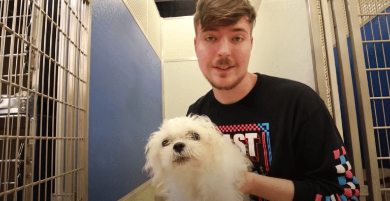 YouTube star finds home for every dog in a shelter