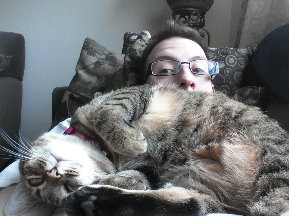 Owners of clingy cat find a brilliant solution to her desire to sit on ...