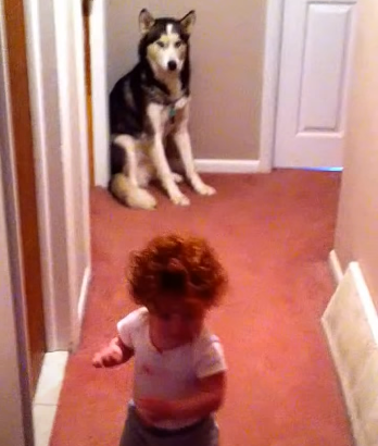 Baby Runs To Dog For Protection From Vacuum Cleaner