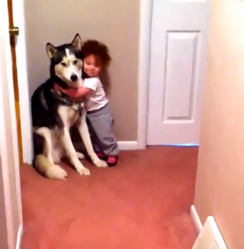 Baby Runs To Dog For Protection From Vacuum Cleaner