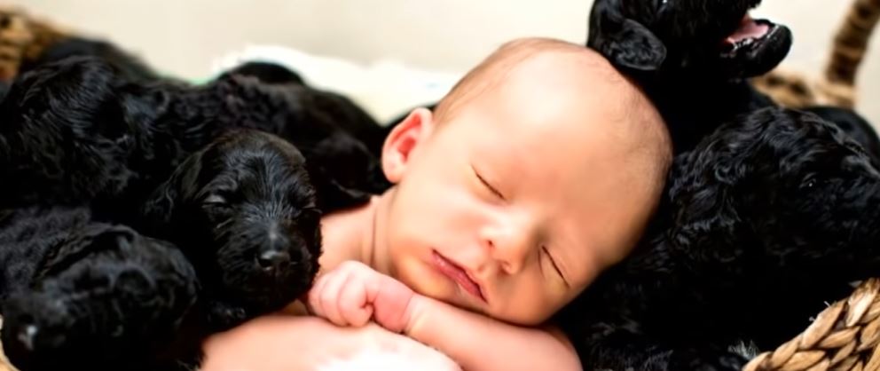 Mom gives birth to baby on the same day her dog goes into labor