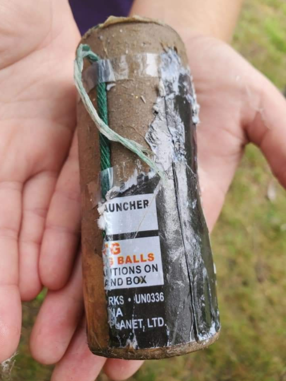 A Canadian goose is strapped with explosives before animal workers come ...