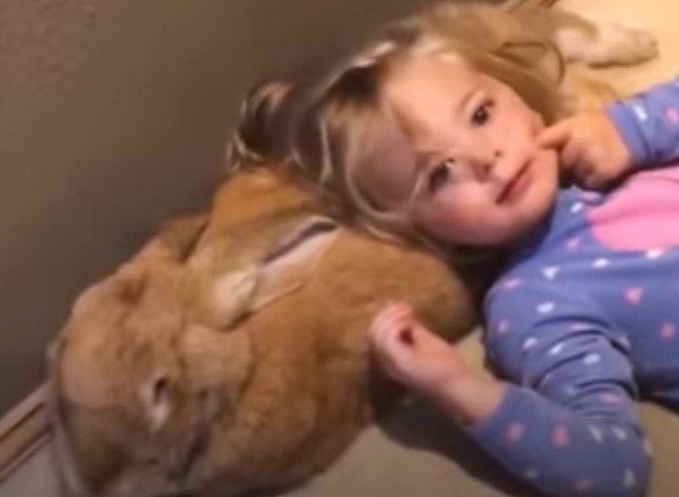 Giant bunny is almost as big as his human siblings