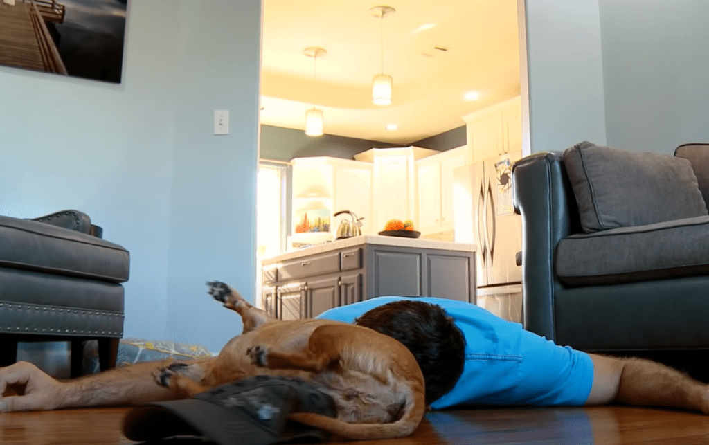 Owner fakes death in front of his dog to see her reaction