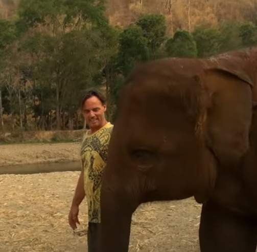 Herd Of Elephants Rush In To Man Yelling At Them