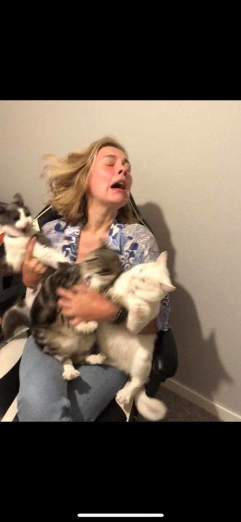 Woman attempts to take family photo with cats and it ends disastrously