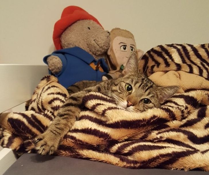 50 Funny Animals Who Are Mastering The Art Of Camouflage