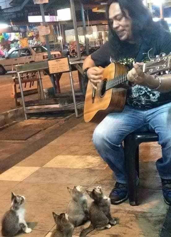 Street singer is ignored by everyone, but then four kittens come to ...