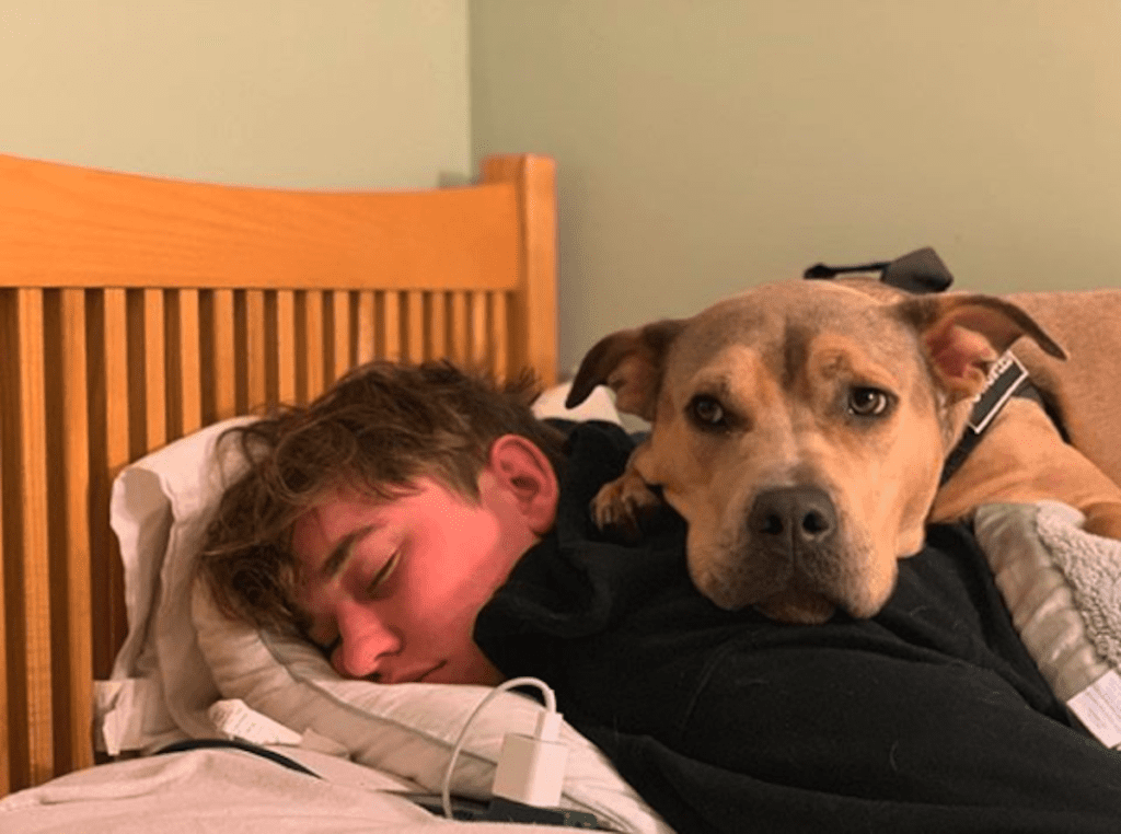 Adopted dog afraid of everything until he spends one night with new brother