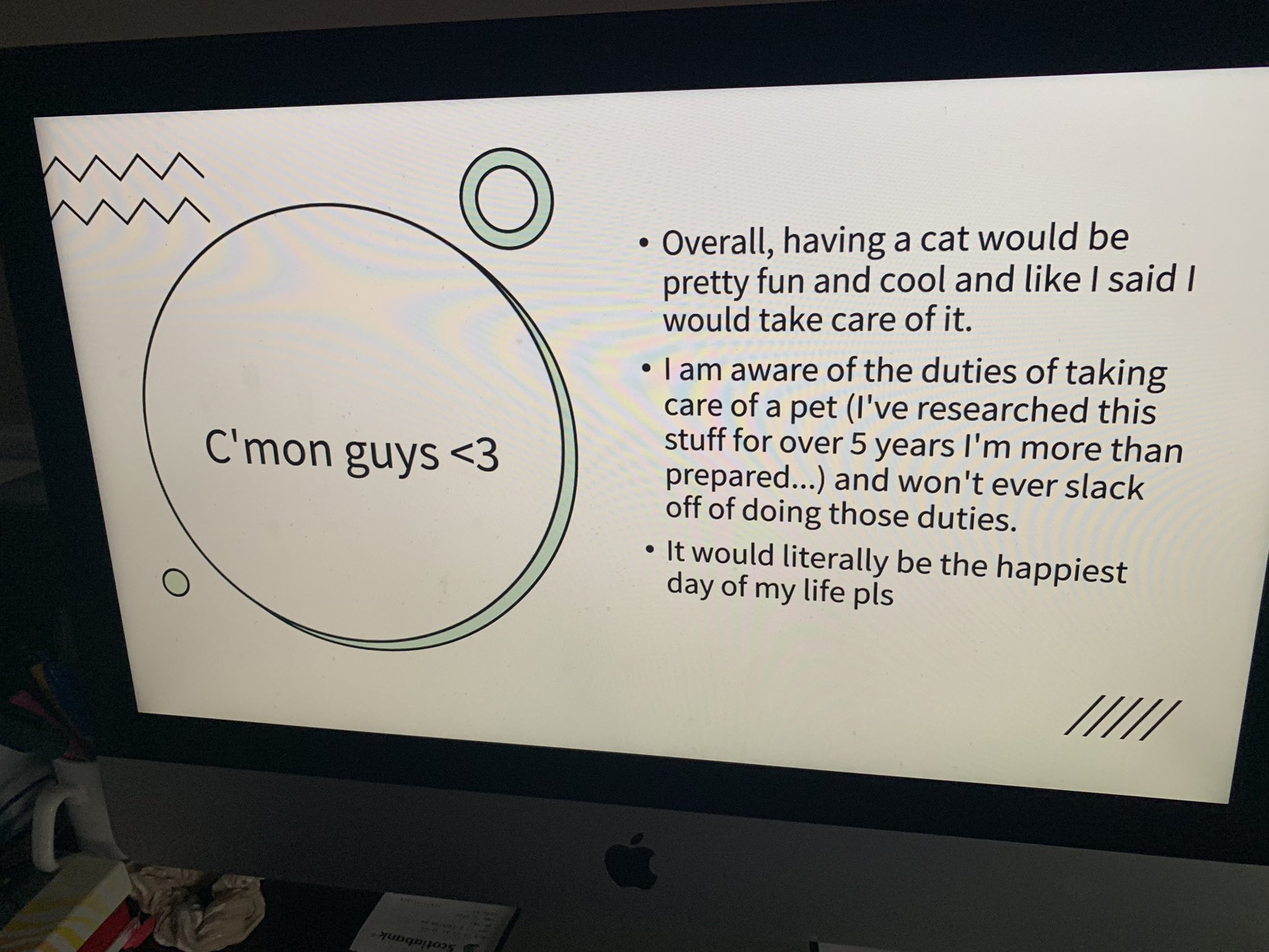 Girl creates hilarious PowerPoint presentation on why she should get a cat