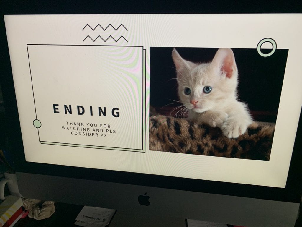 Girl creates hilarious PowerPoint presentation on why she should get a cat