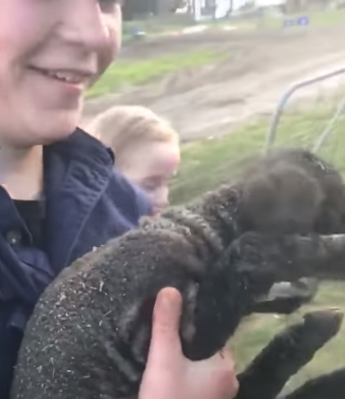 Kids Hear Muffled Cries Coming From Underground Pipe