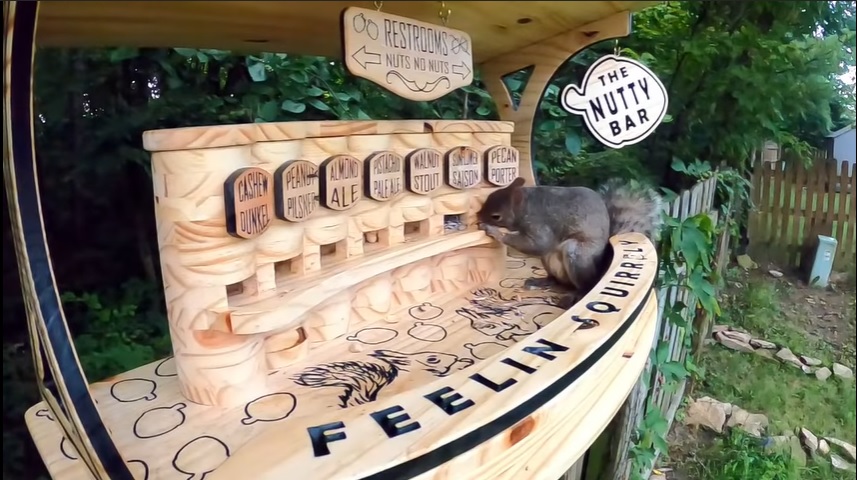 Man builds an outdoor 'bar' that dispenses cashews and pecans for his ...