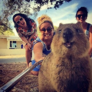 40 photos that prove quokkas are the happiest animals in the world
