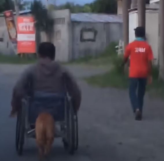 Woman Films Dog Behind Man In Wheelchair