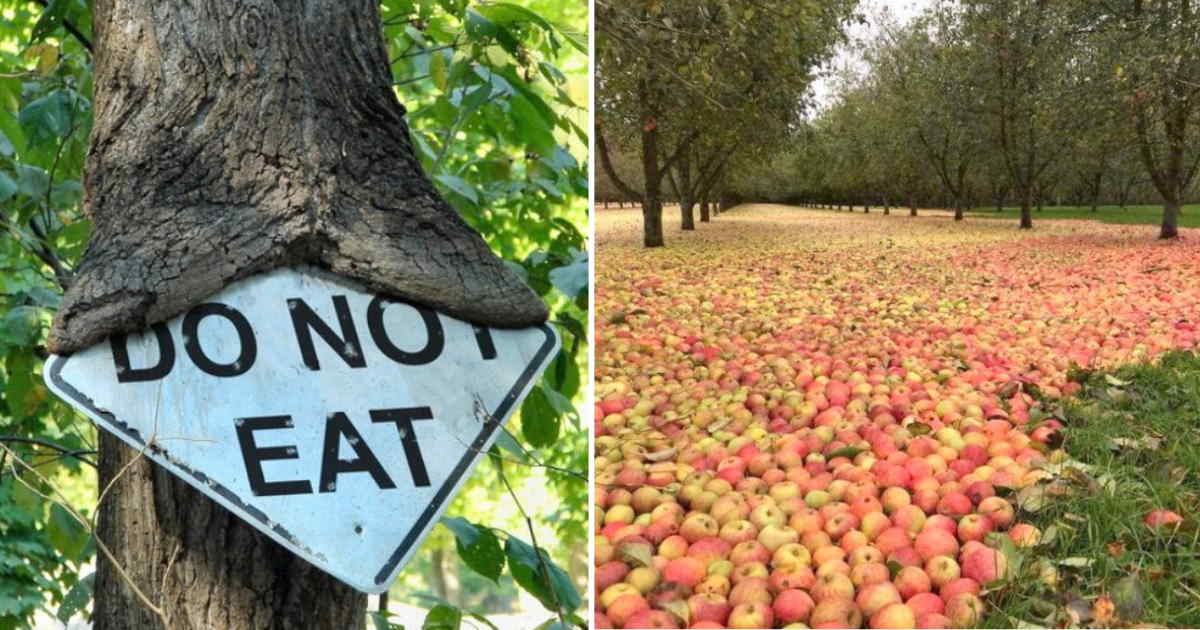 60 Photos Proving Nature Will Get Its Way