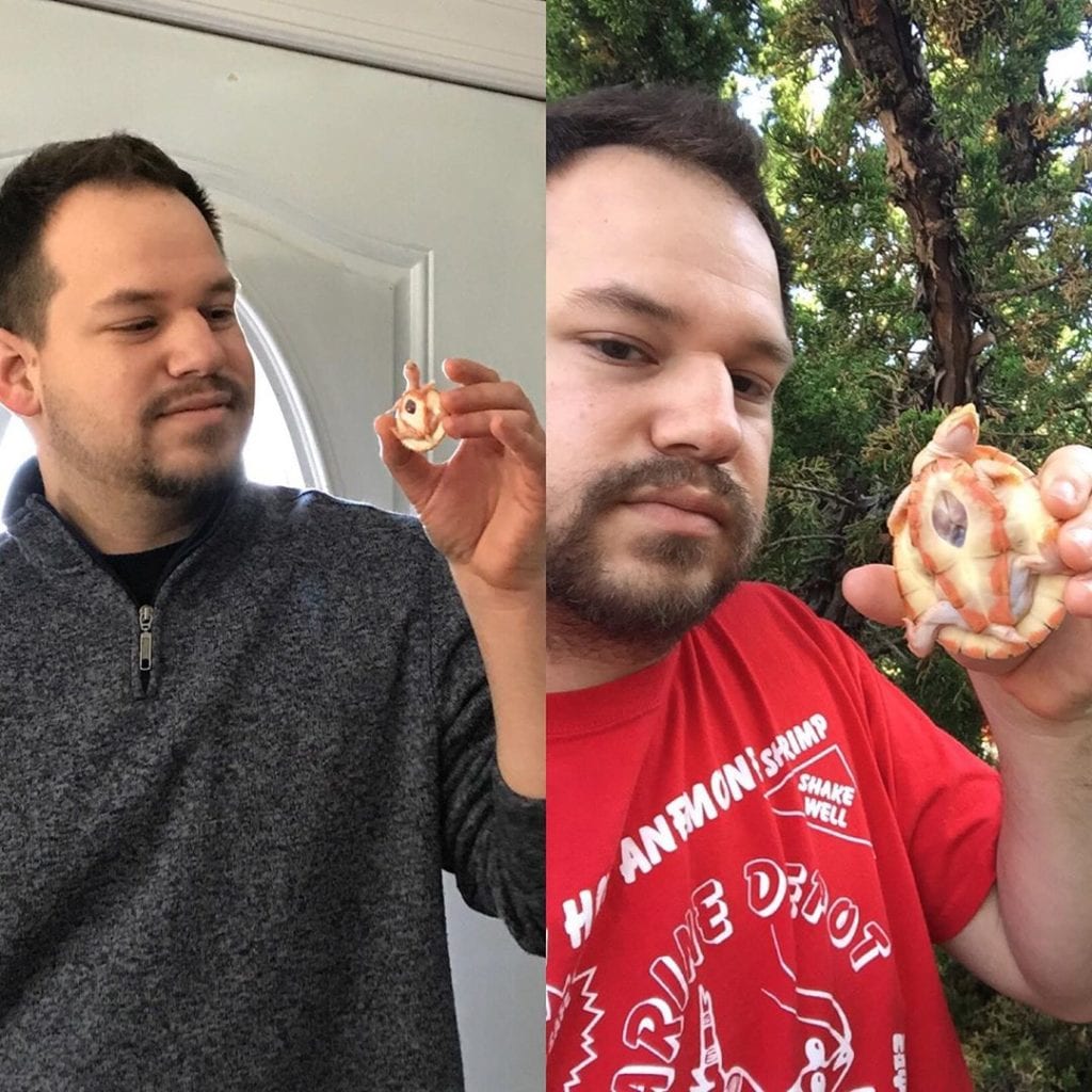 Man takes in a tiny turtle with an exposed heart going to extreme ...