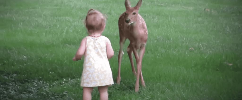 Baby encounters wild deer in her backyard