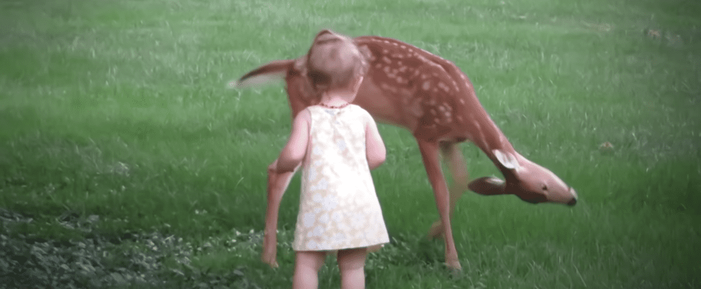 Baby encounters wild deer in her backyard