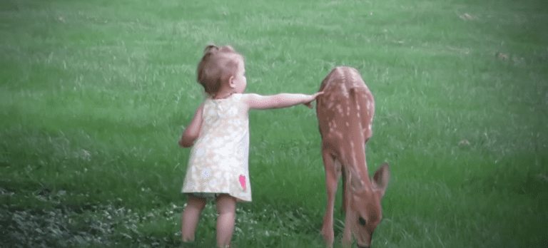 Baby encounters wild deer in her backyard